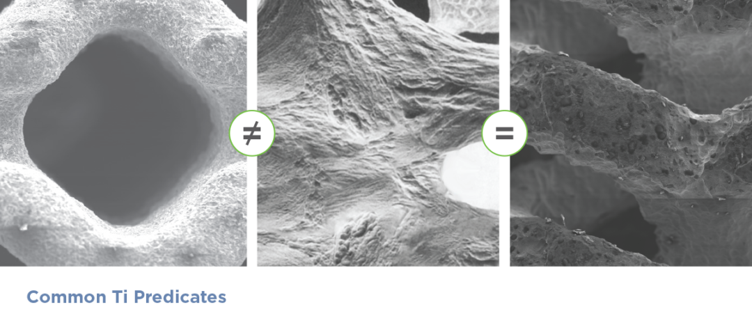 Tranquil - Nexus Spine